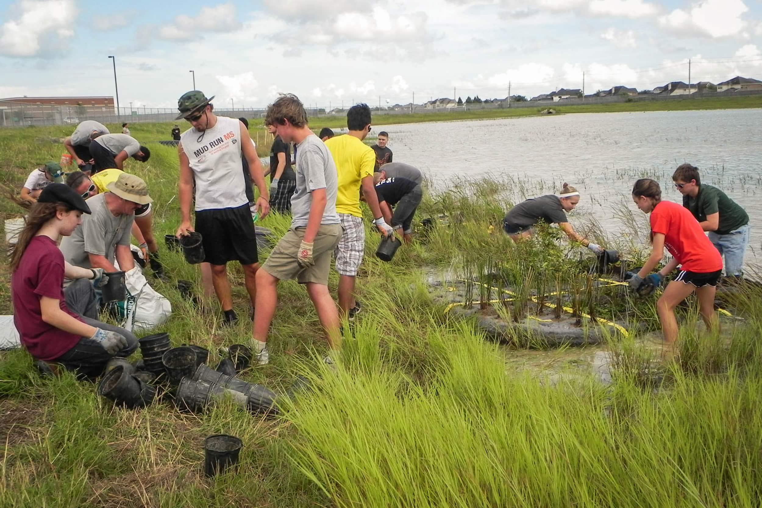 Floating Wetlands Project | University of Houston-Clear Lake