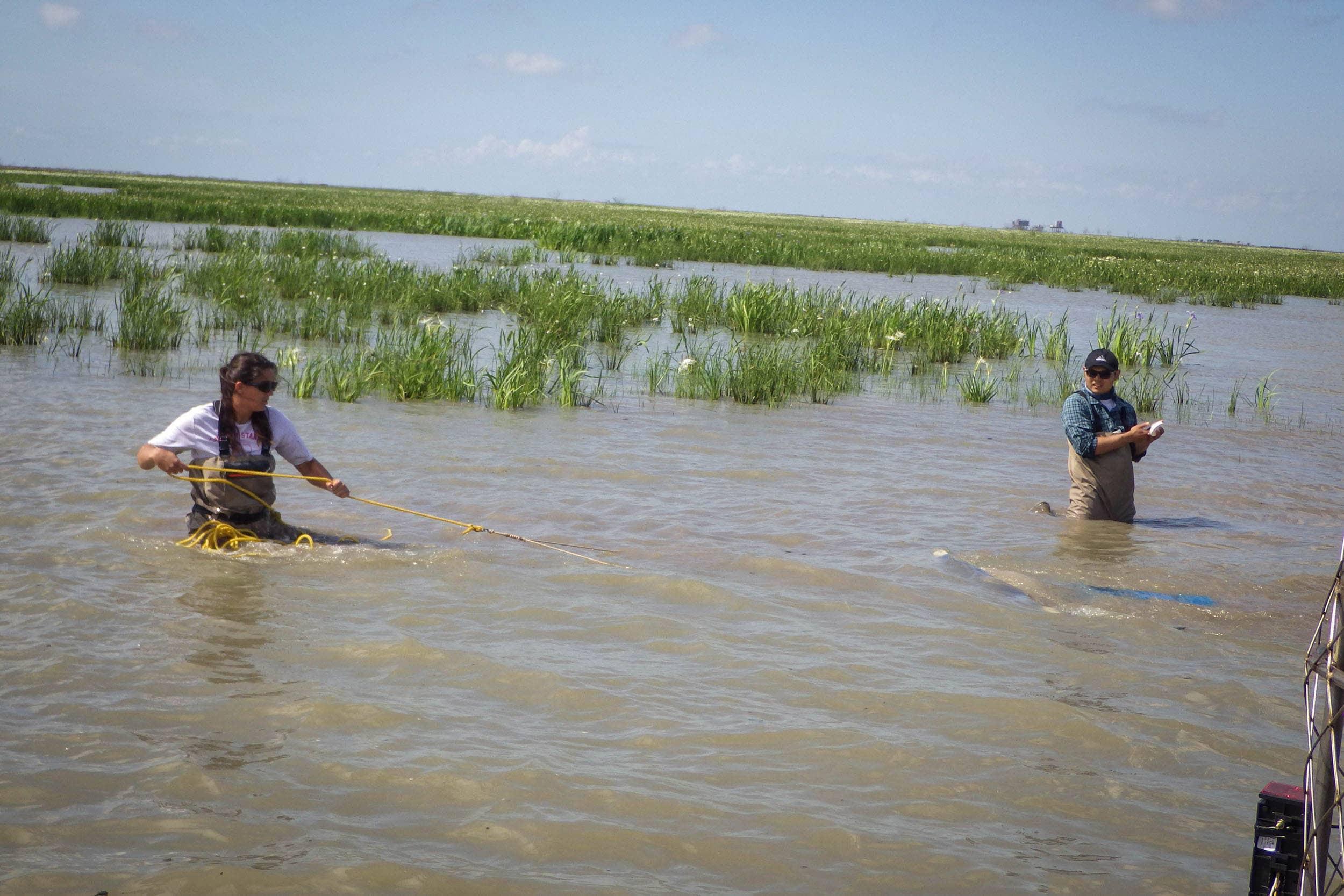 Water Quality and Biological Monitoring of the Trinity River Delta and ...
