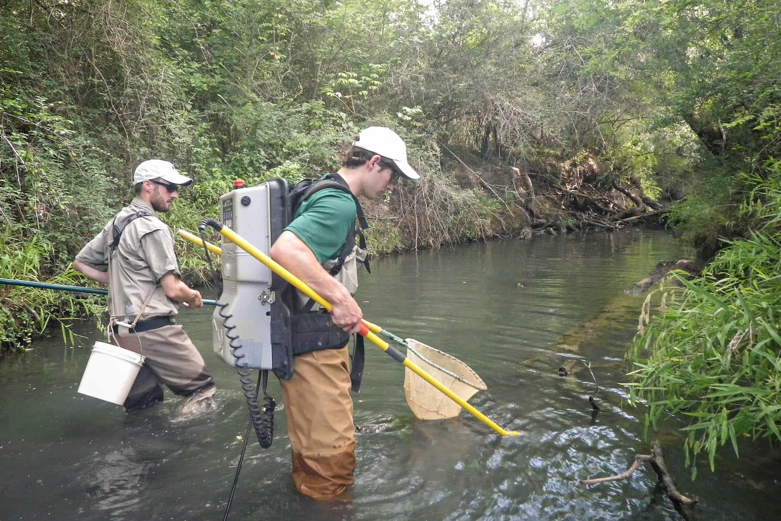 Biological Monitoring of Houston Area Wadeable Streams | University of ...