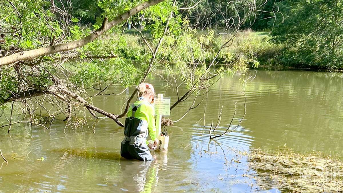 Design, Construction, and Analysis of Floating Wetlands | University of ...