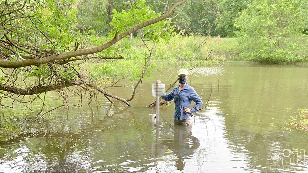 Design, Construction, and Analysis of Floating Wetlands | University of ...